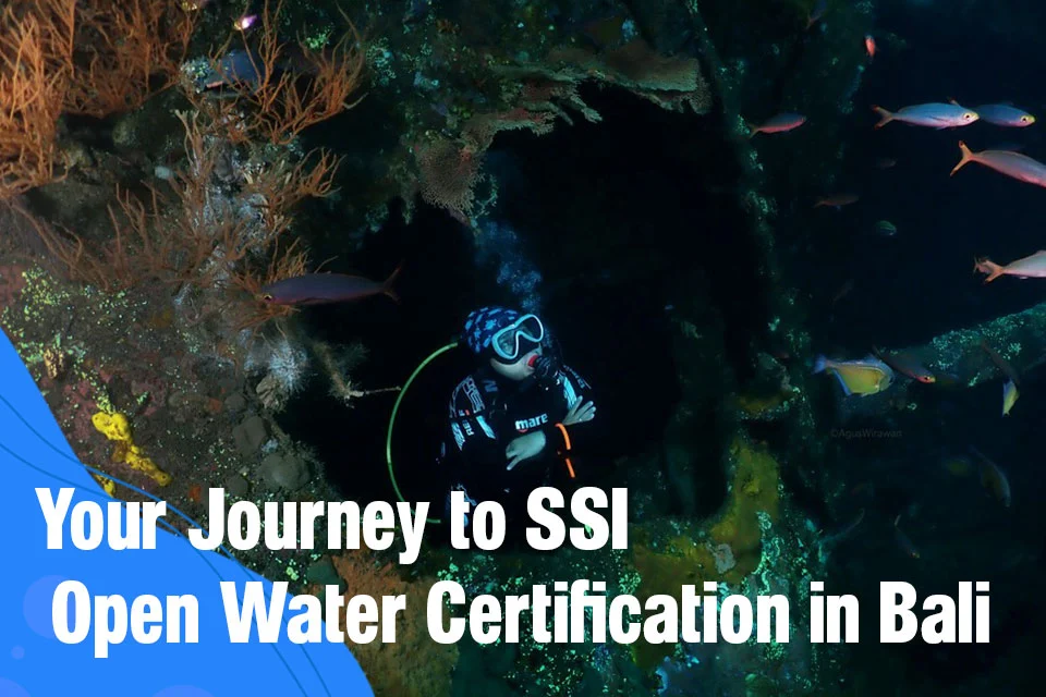 Your Journey to SSI Open Water Certification in Bali - Bali FUN Diving